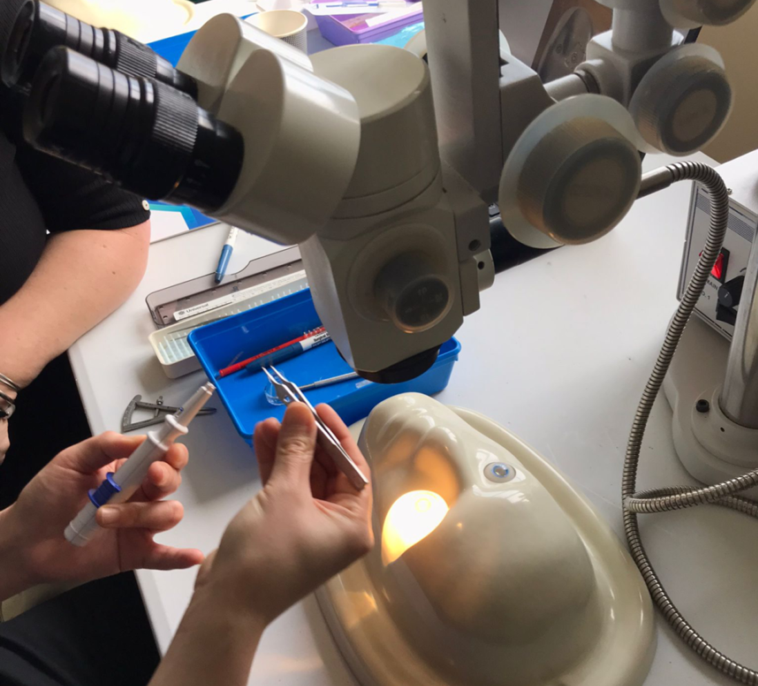 Training your Eye Surgeons of the Future | Sarum Vision